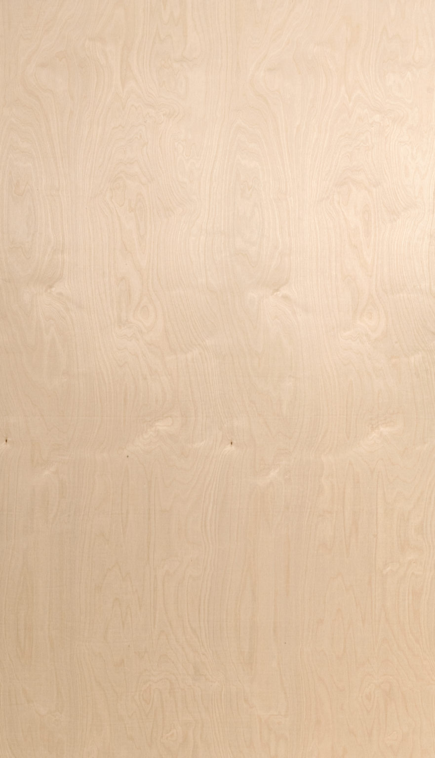 Premium Birch CD Veneer Plywood - 15mm - FIBER WOOD